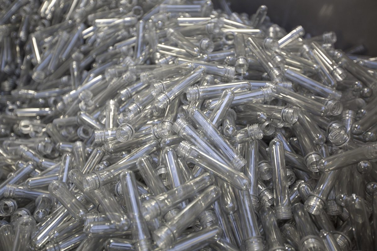 Allgemein Archive - Petcycle